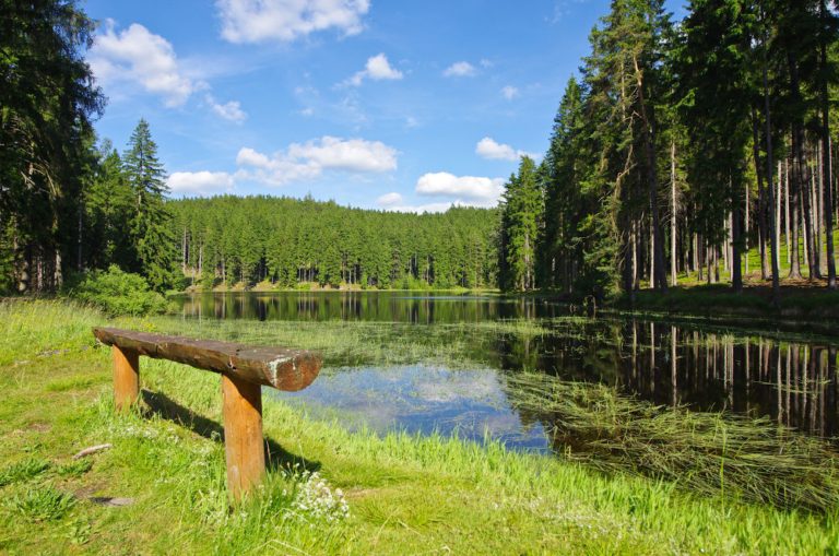 Slavkovský les | Park Boheminium Mariánské Lázně